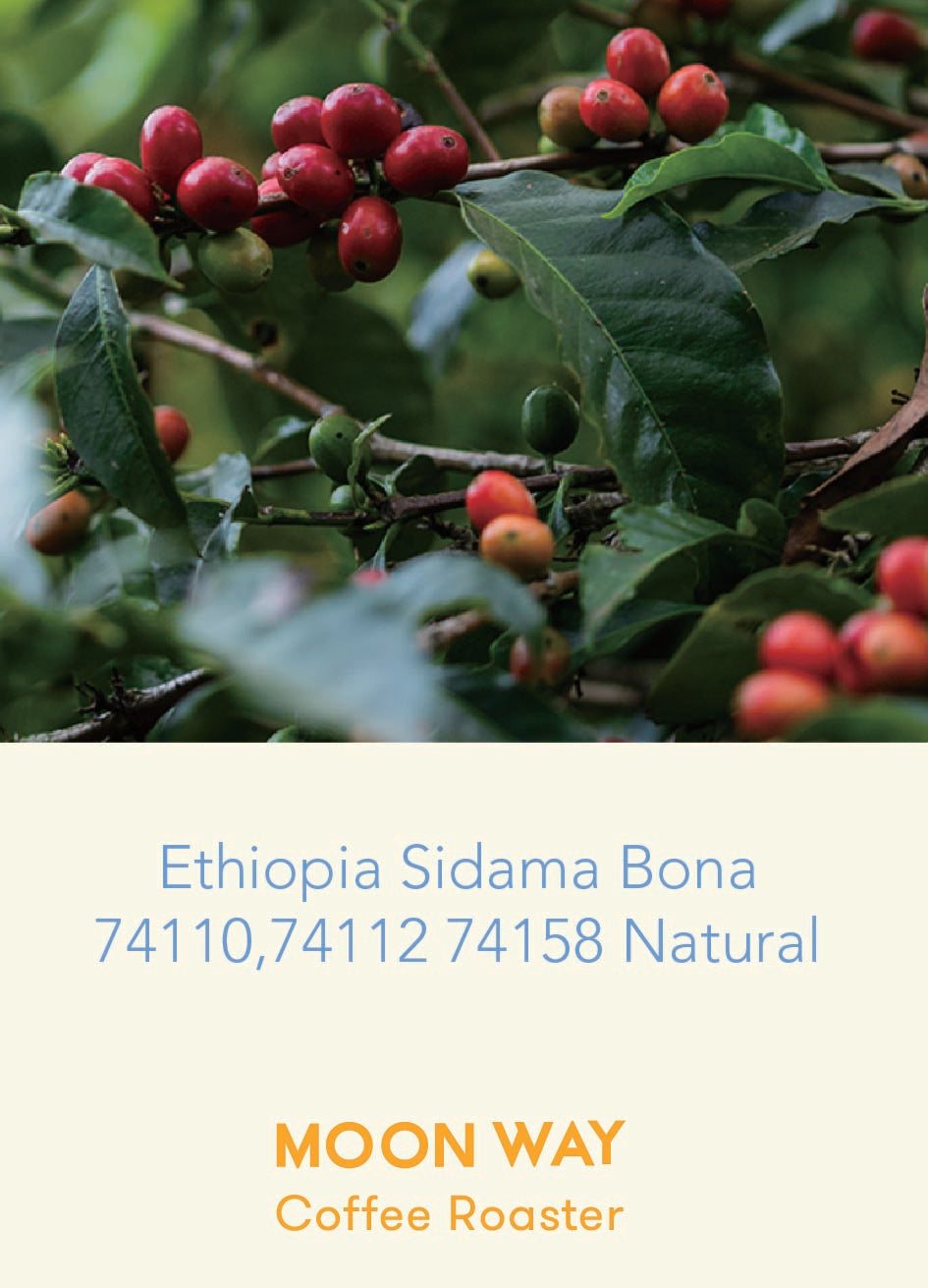 Ethiopia Sidama Alo Bona Natural Espresso – Moonway Coffee